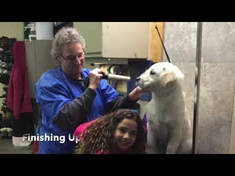 INTEREST FAIR 2019 - YouTube