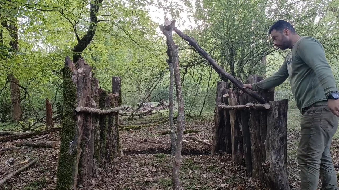 Build A Log Cabin In The Woods With Basic Tools - Bushcraft Cabin (Part ...