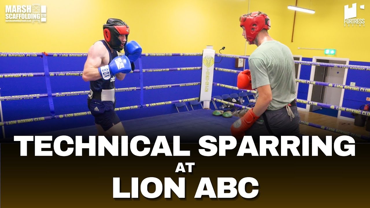 Lion ABC | Tech Sparring - YouTube