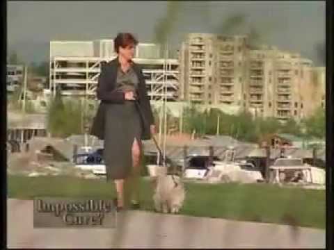 Q96 Mood Optimizer Part 5 - QSciences | All Natural Treatment| True ...