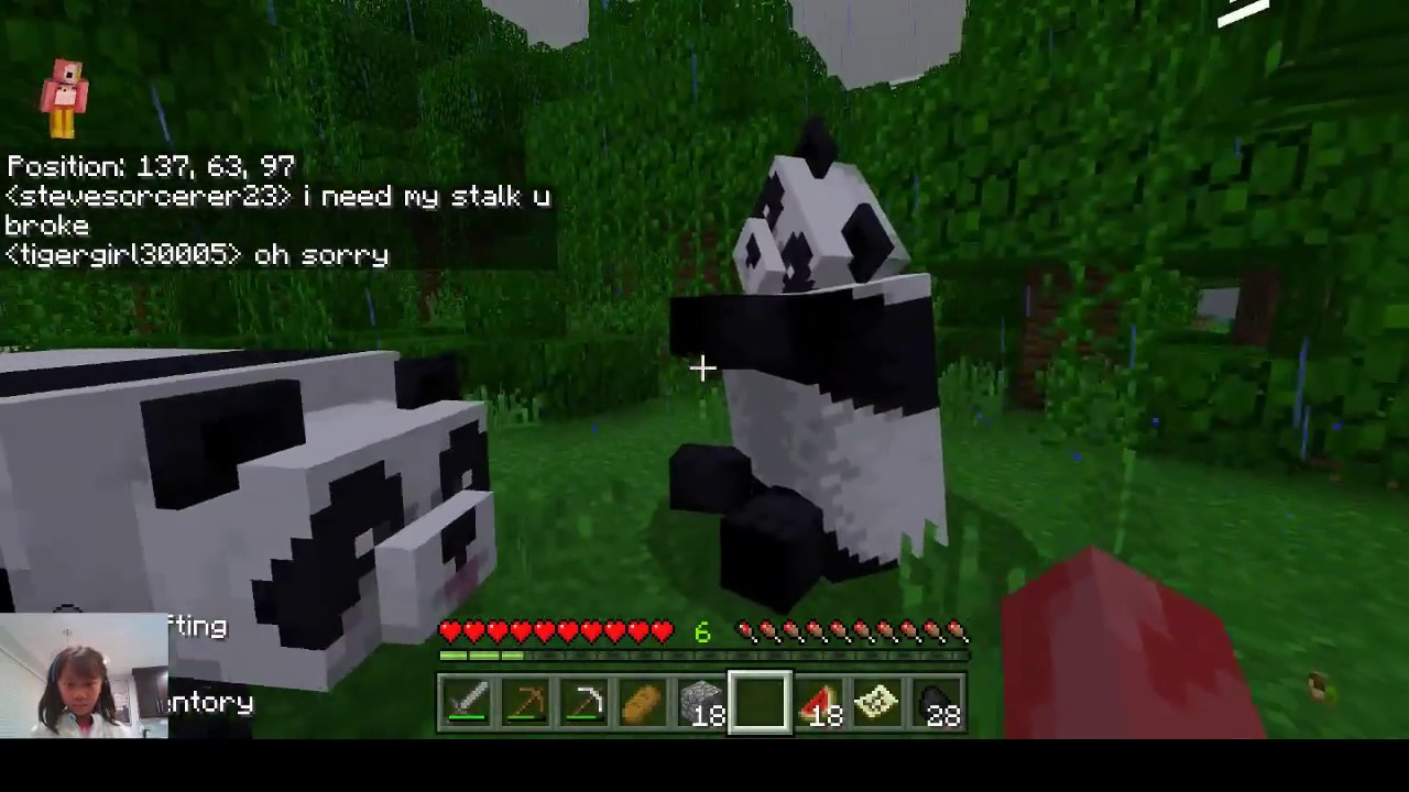 blitz64 Minecraft Panda update Live Stream - YouTube