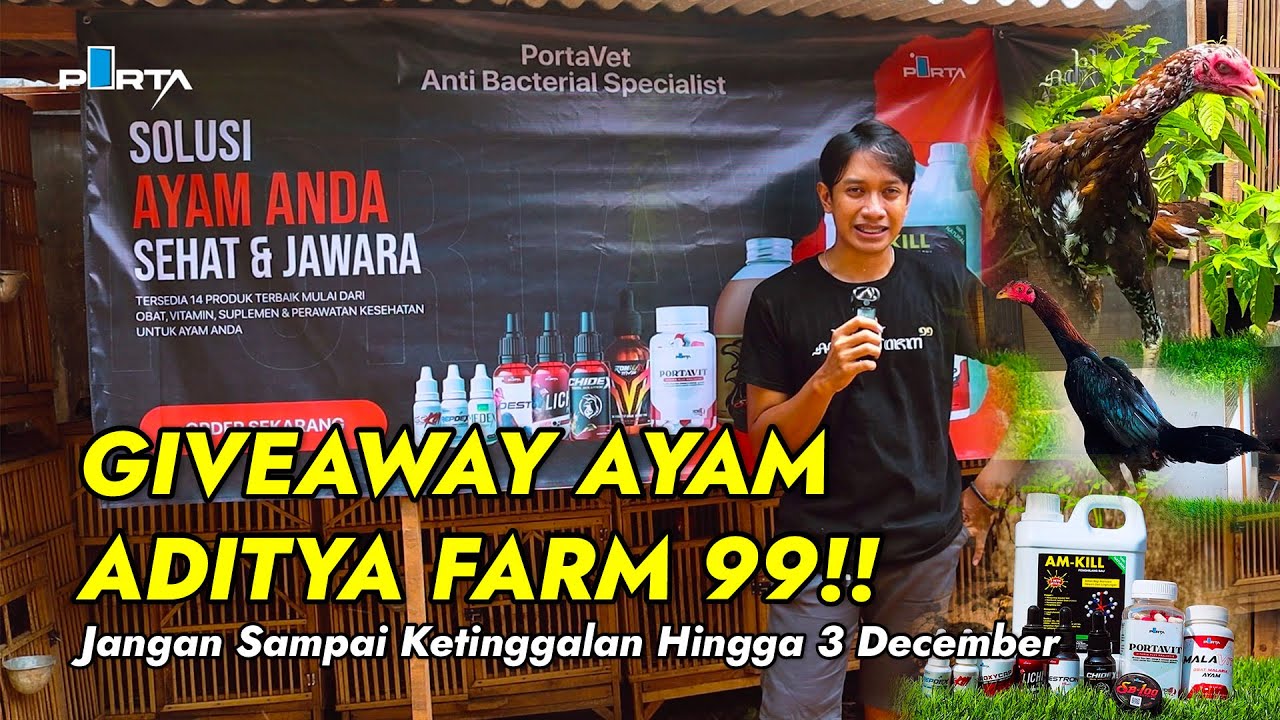 GIVEAWAY AYAM ADITYA FARM 99 KOLABORASI DENGAN PORTAVET - YouTube