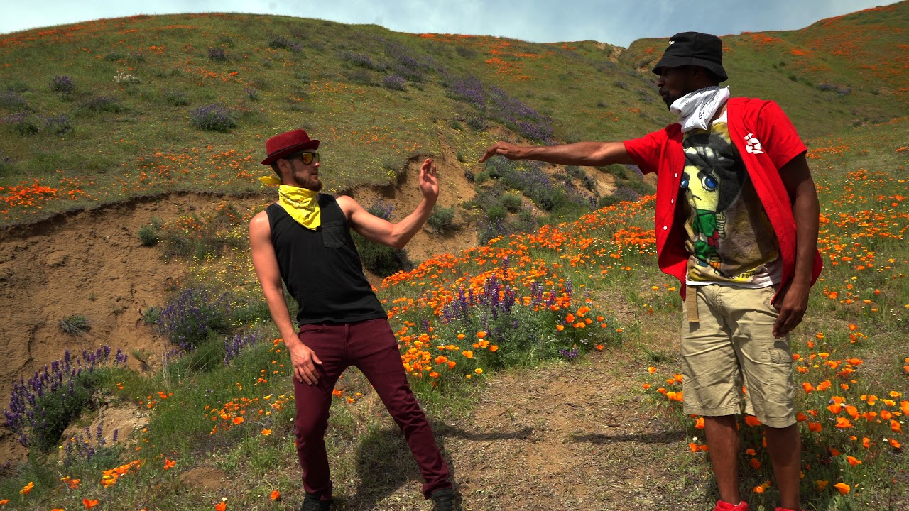 Poppy Fields part 2 - YouTube