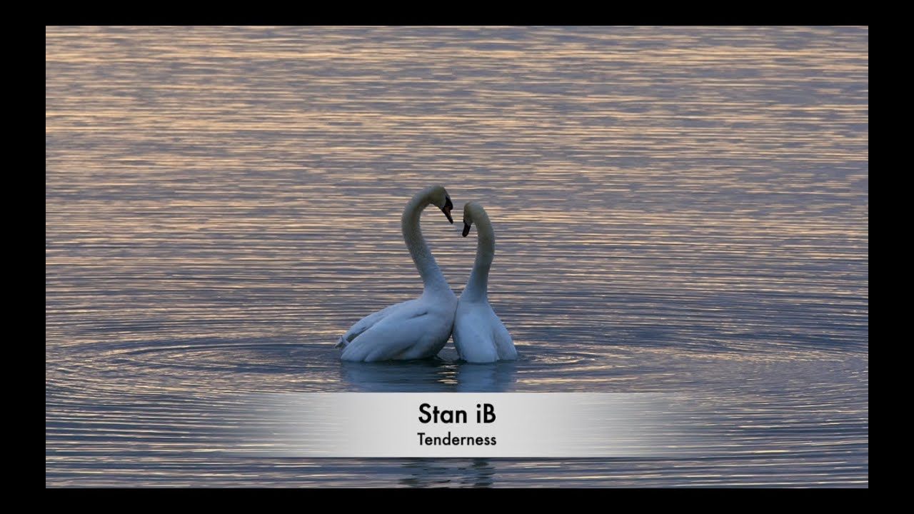 Stan iB - "Tenderness" - YouTube Music