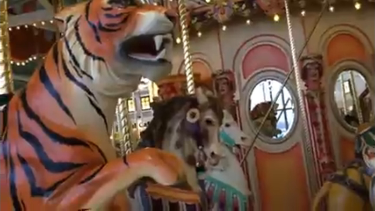 Mary Go Round.Carousel mall.Веселая Карусель - YouTube