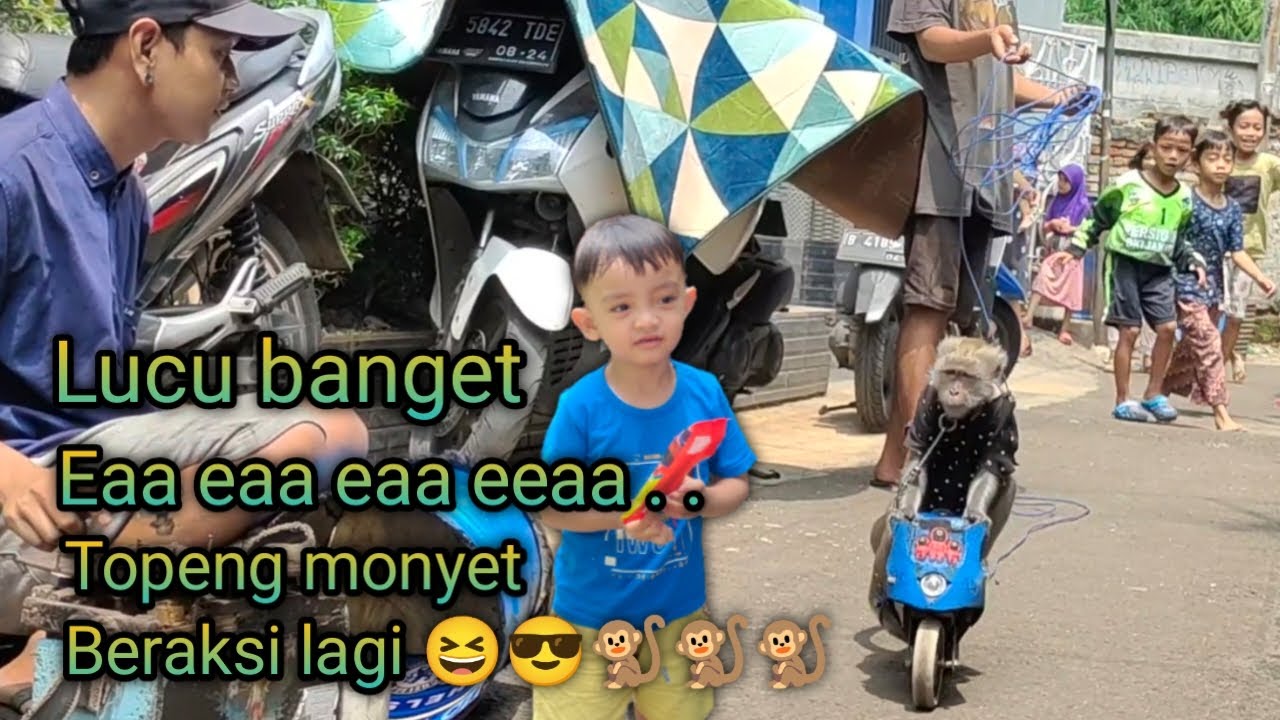 Topeng monyet lucu balap motor 😎🐒🐒 - YouTube