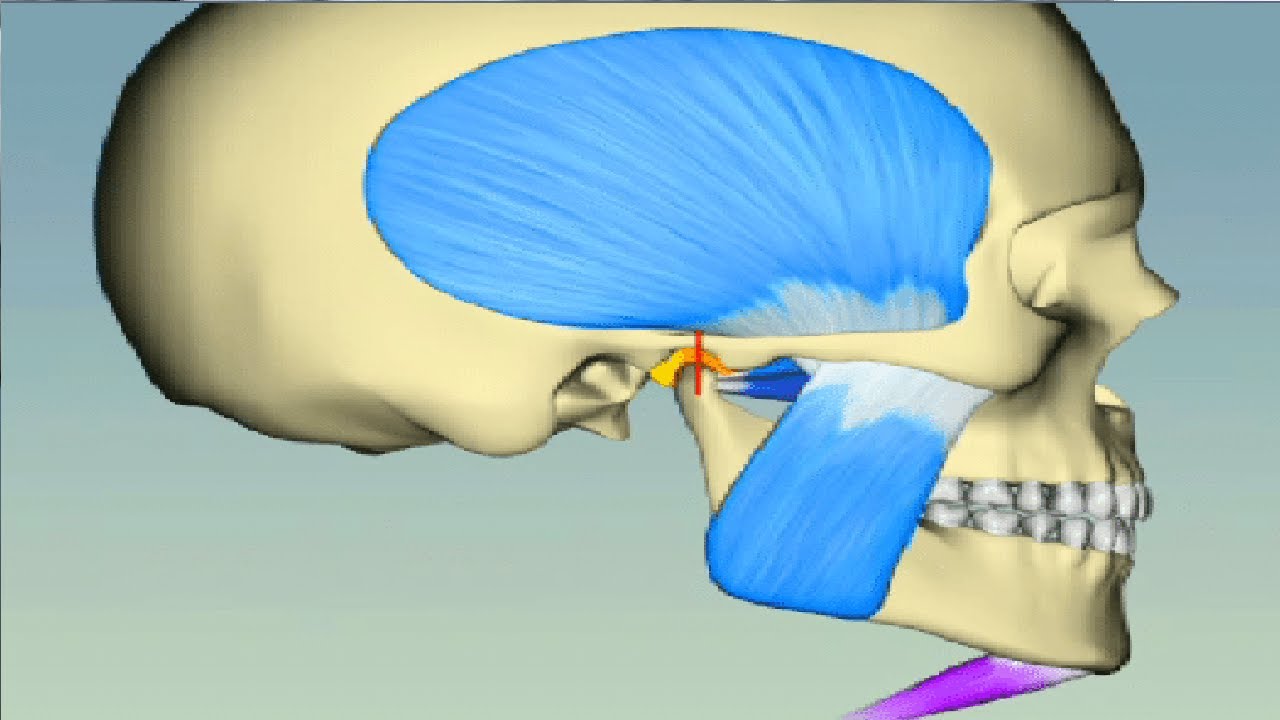how to get better cheekbones male - YouTube