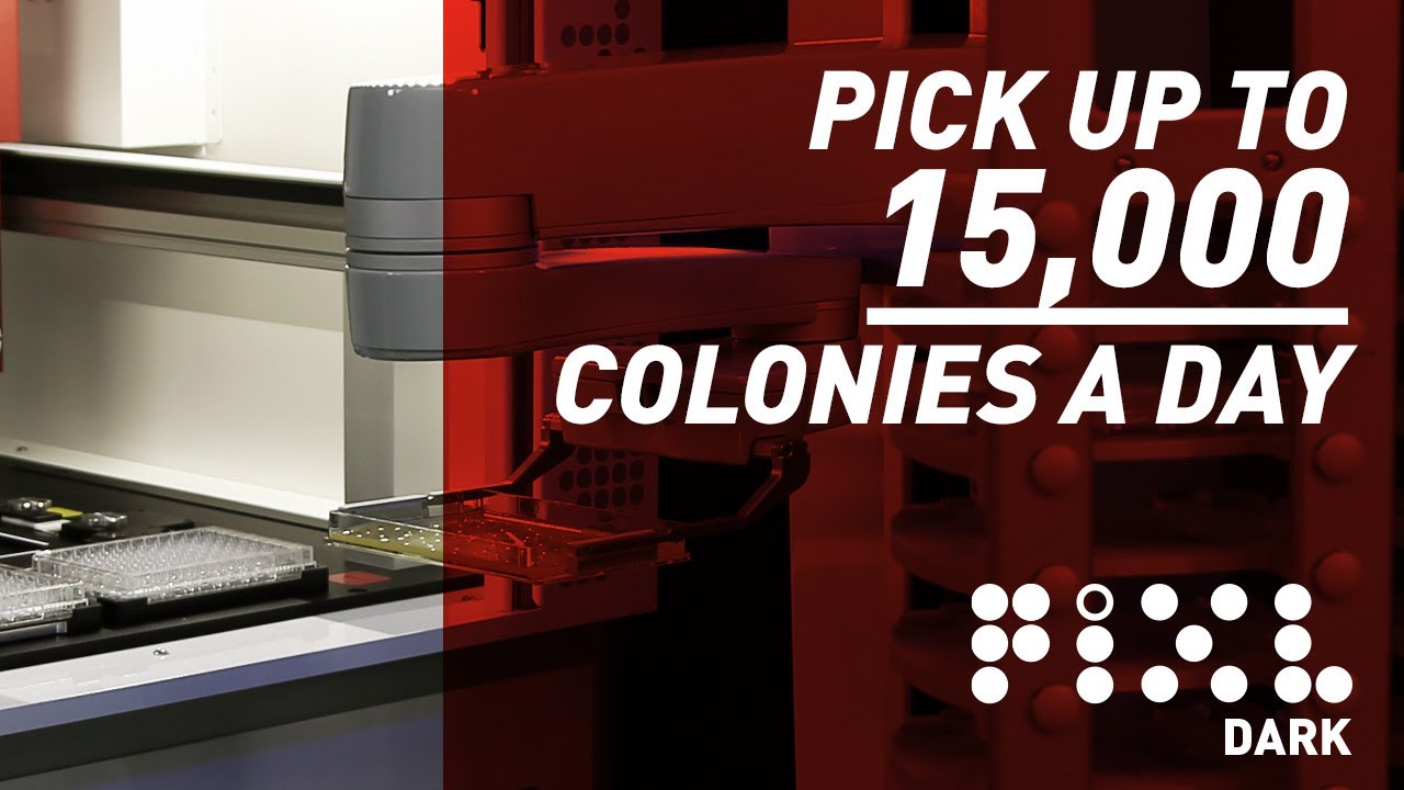 Walkaway Automated Colony Picking: PIXL Dark - Singer Instruments ...
