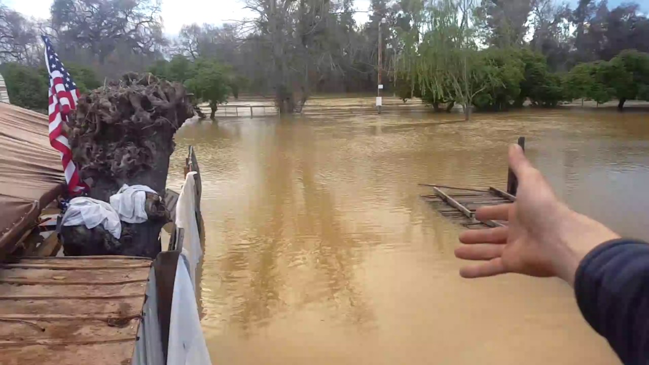 Aric Alias's live broadcast - YouTube