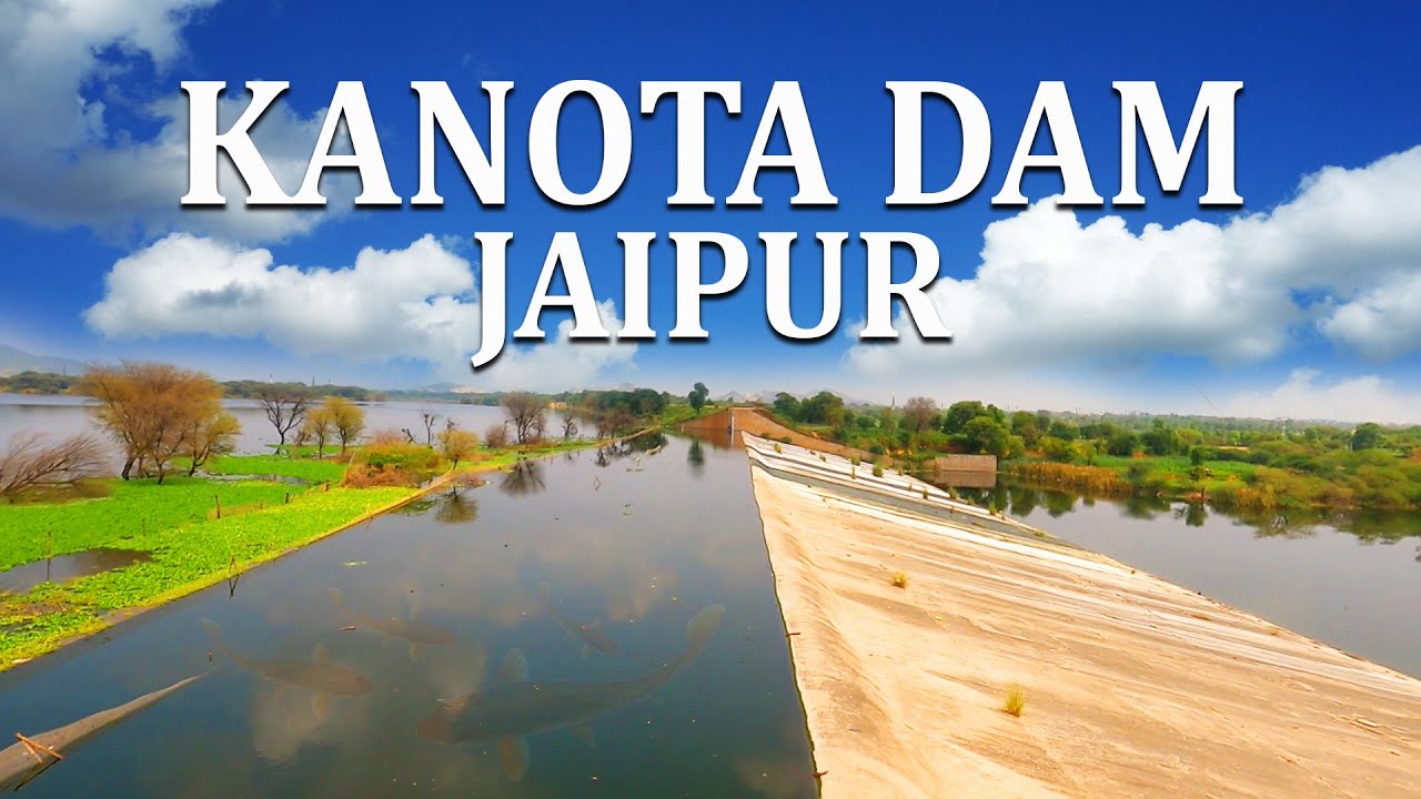 The Only Dam in Jaipur City | Kanota Dam | Full of wild birds and fish ...
