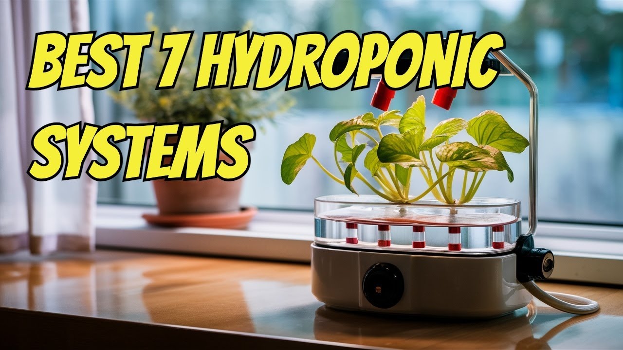 Best Mini Hydroponic Systems for Beginners to Start - YouTube
