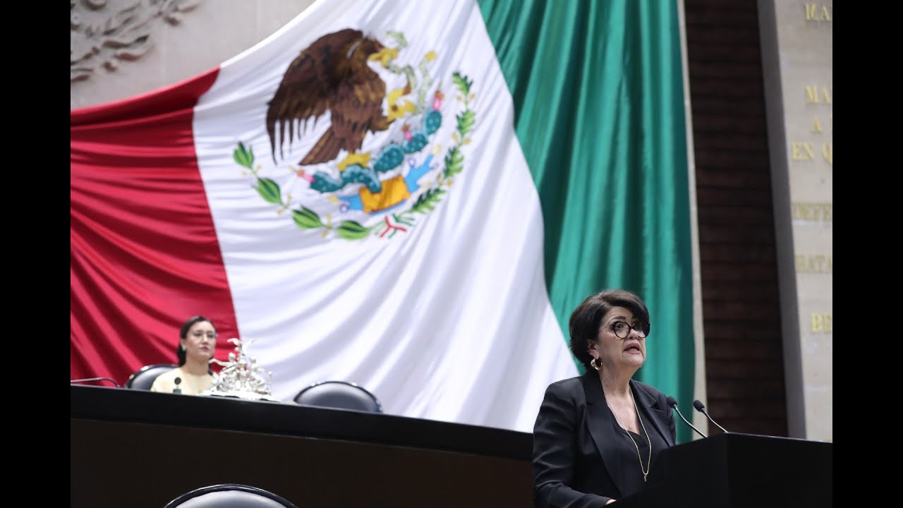 Dip. Magdalena del Socorro Núñez Monreal (PT) / Posicionamiento - YouTube