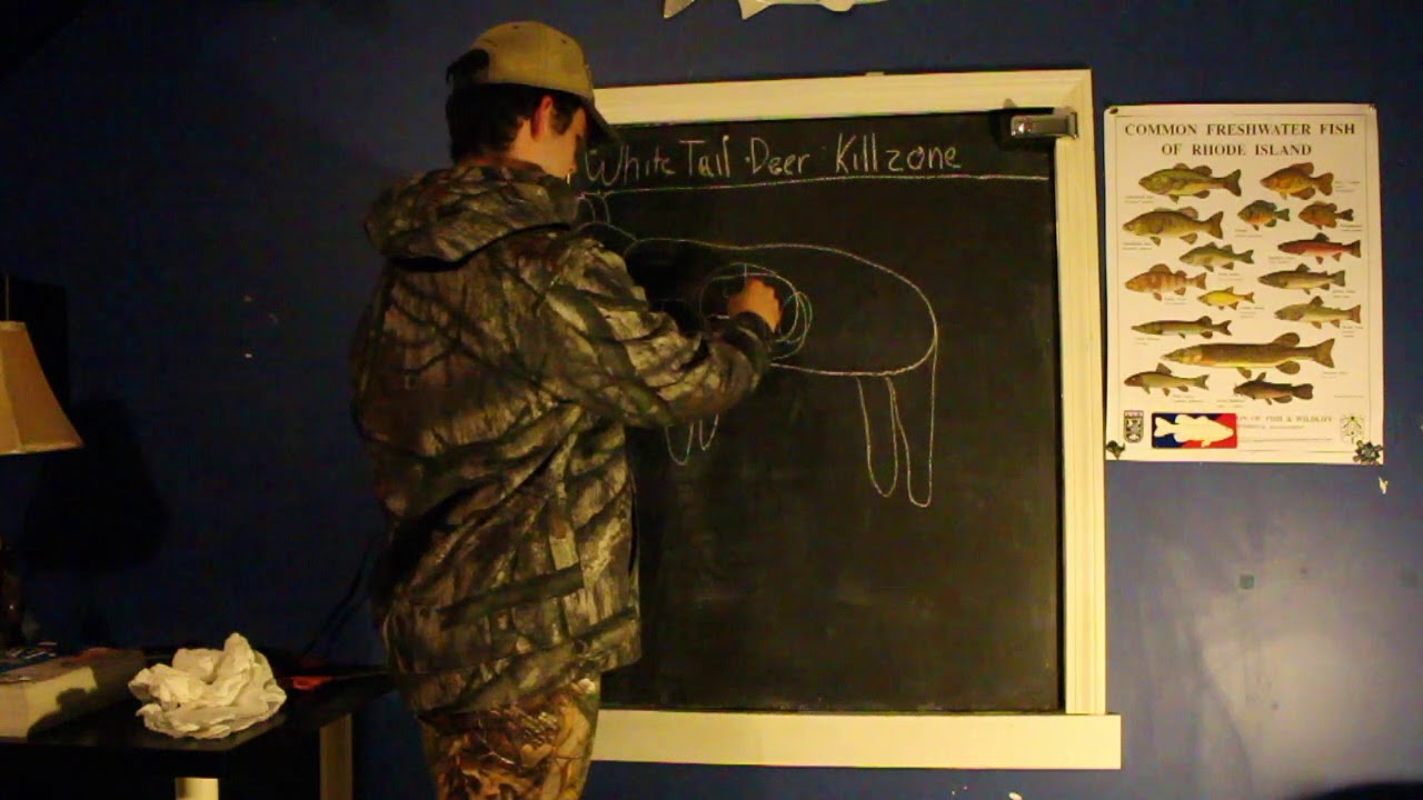 The Ethical Kill-Zone of a Whitetail Deer - YouTube