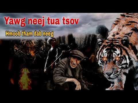 Dab neeg yawg neej tua tsov..9/11/2022 - YouTube