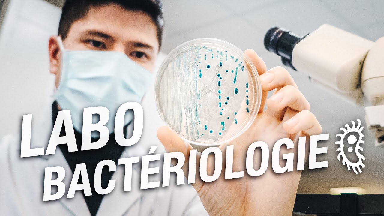 Immersion en LABORATOIRE de BACTÉRIOLOGIE - YouTube