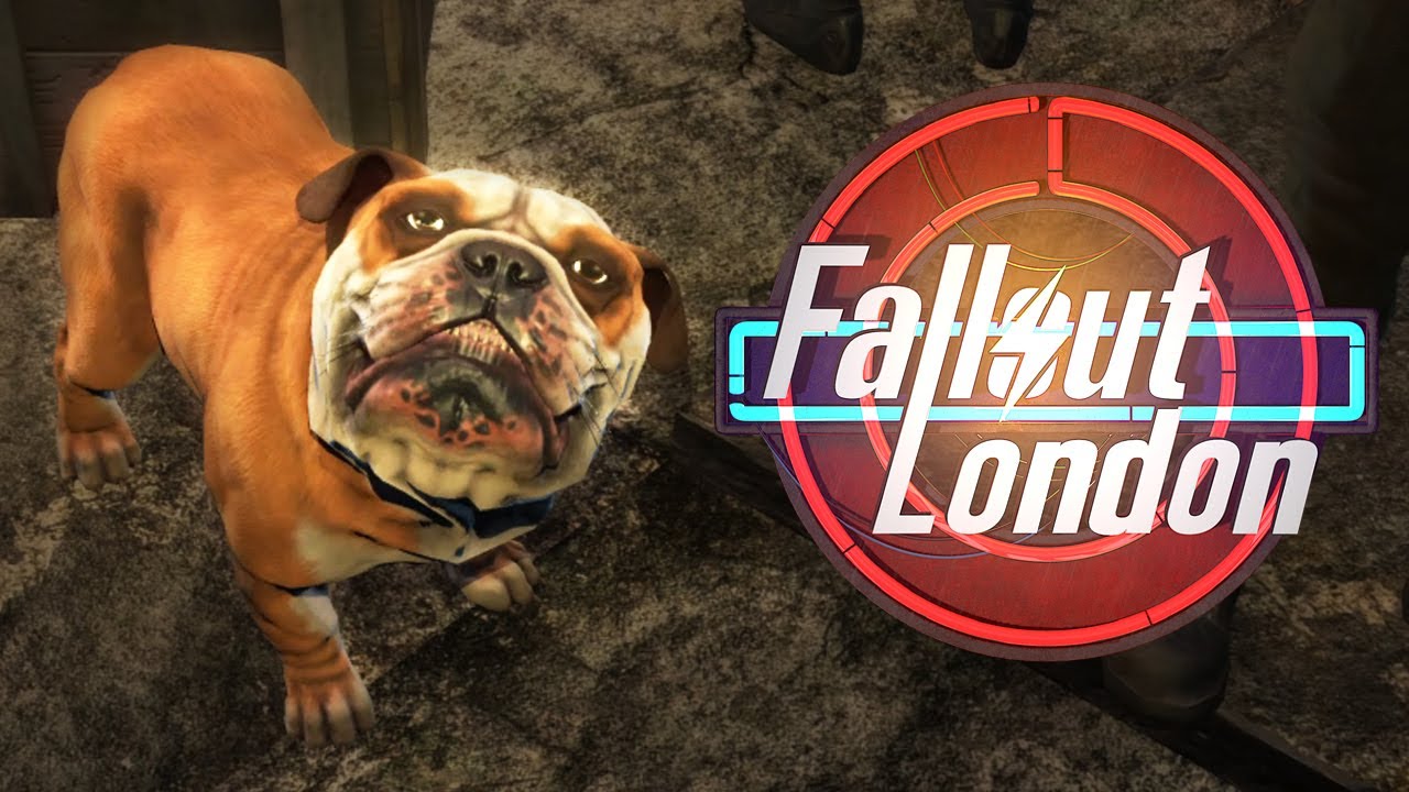 Fallout London Dog Companion - Churchill - YouTube