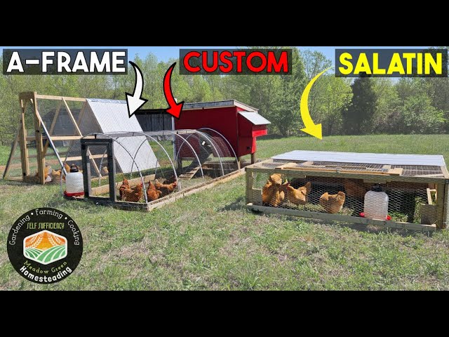 Types Of Chicken Tractors Simply Homemaking: The Chicken Tractor...