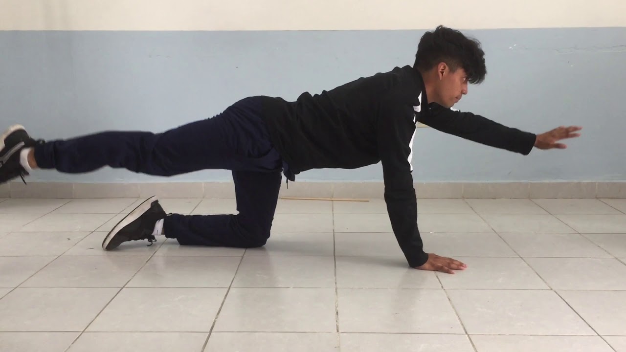 FMS-Rotary Stability - YouTube