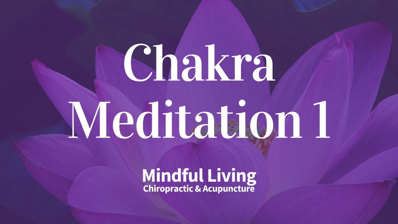 Chakra Meditation 1 - with Dr. Brent Carlini - YouTube