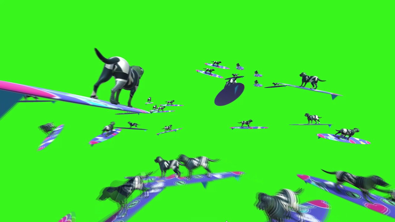 Apex Legends Green Screen Clips Apex Surfing Dogs Royalty Free - YouTube