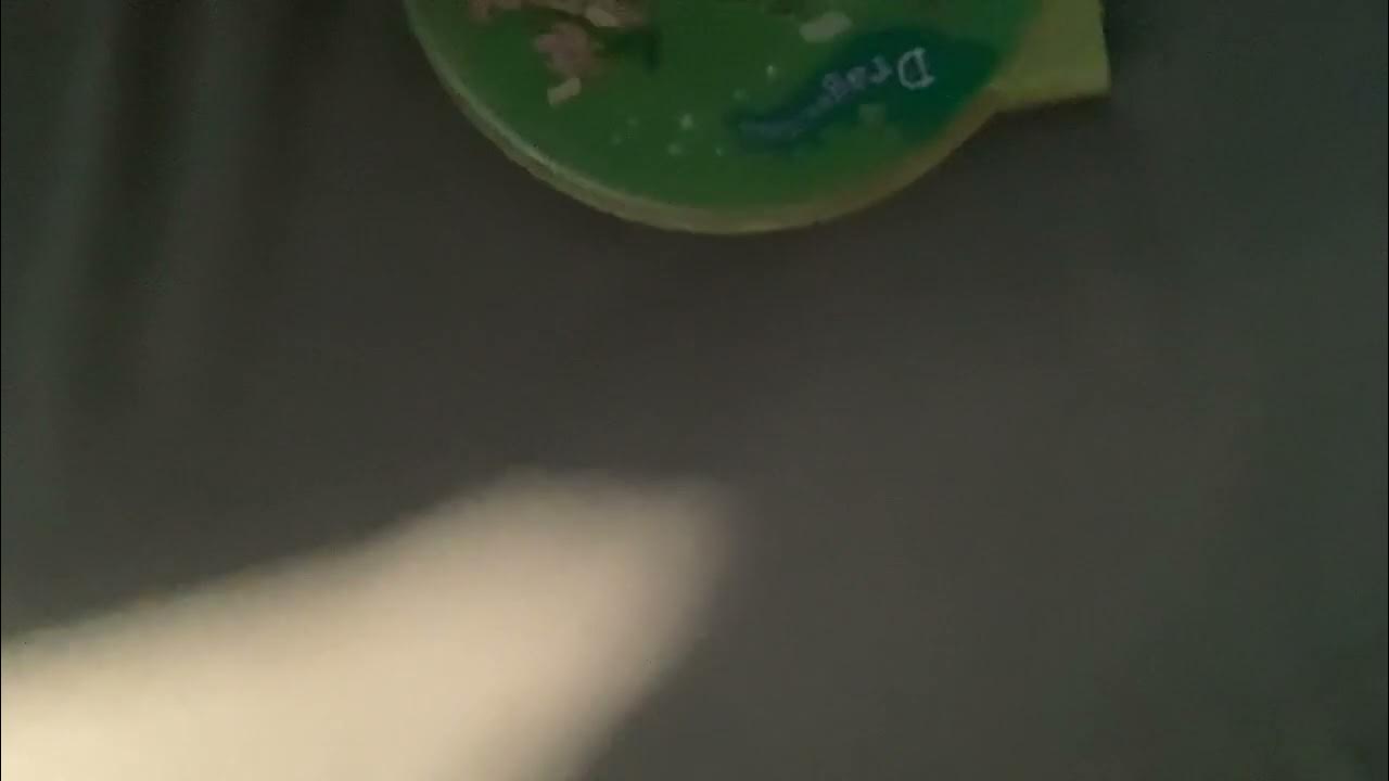 Dragon Tales Sing Through The Seasons Cd Review Youtube