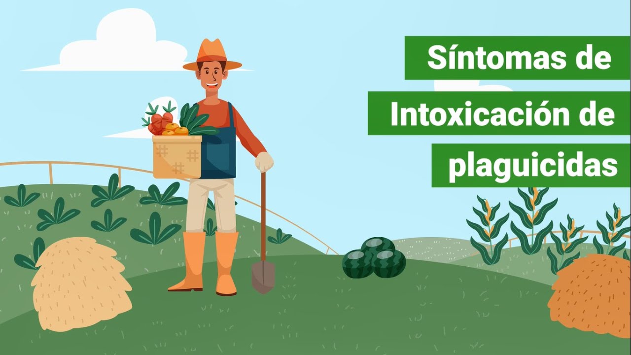 Síntomas de intoxicación de plaguicidas - YouTube