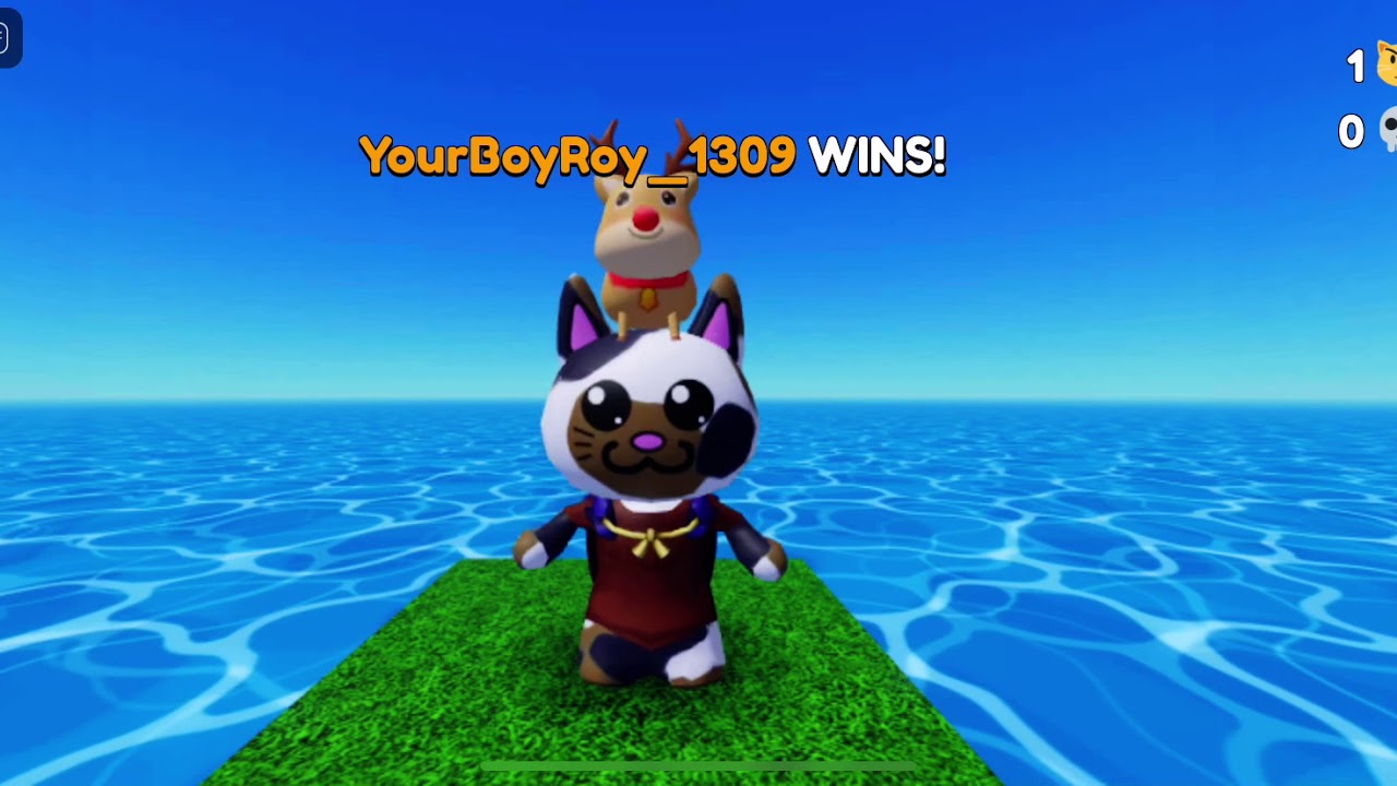 Wizard cats: Roblox - YouTube