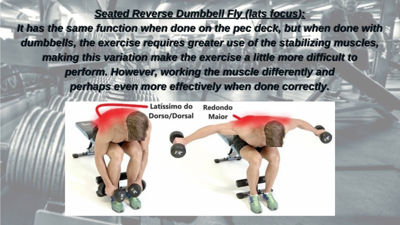 Como fazer / how to do e para que serve o Crucifixo Inverso Halteres ...