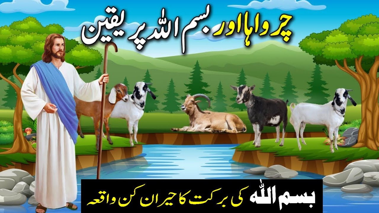 Bismillah ki barkat ka waqia | charwaha aur Bismillah per yaqeen ...