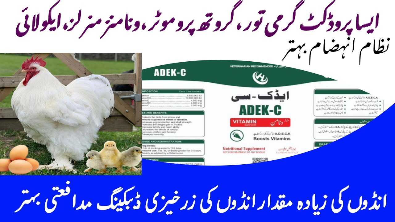 Use of Amino acids, Multivitamins, Electrolytes, Vit. C & E in Poultry ...