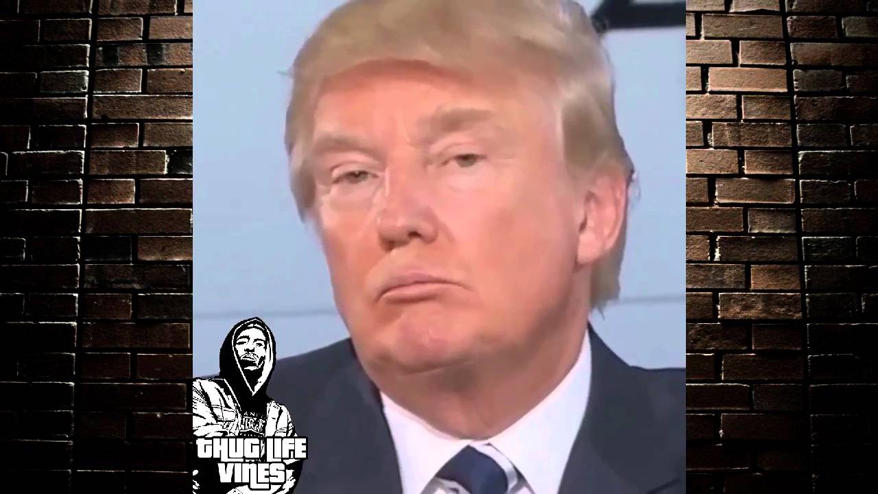 Top 10 HILARIOUS Donald Trump MEMES! - YouTube