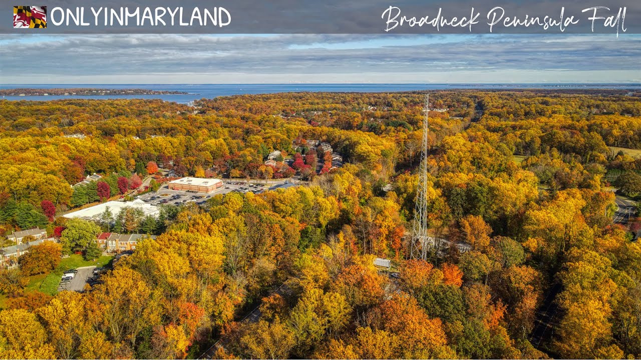 Fall on The Broadneck Peninsula - YouTube