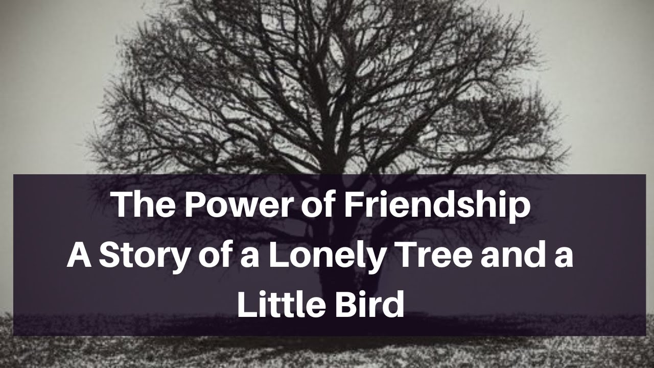The Lonely Tree | A Heartwarming Friendship story - YouTube