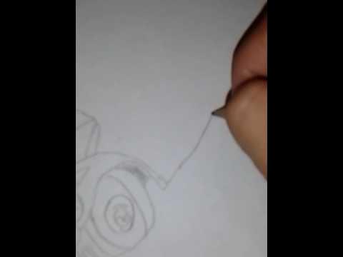 Cómo dibujar un volkswagen escarabajo paso a paso - YouTube