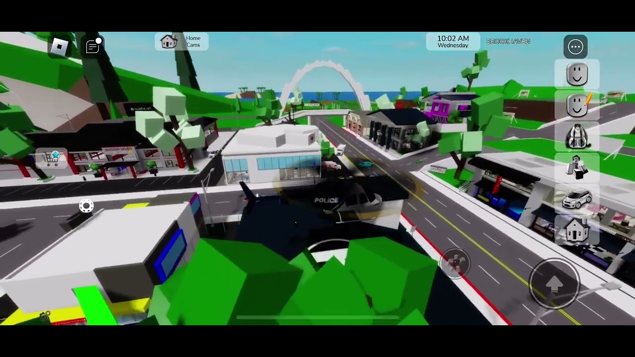 hacker in brookhaven roblox - YouTube