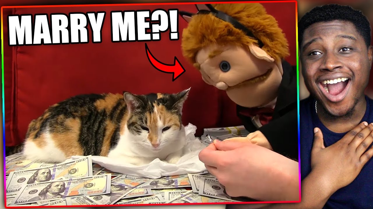 GOODMAN MARRIES A CAT! | SML Movie: Mr.Goodman's Father Reaction! - YouTube