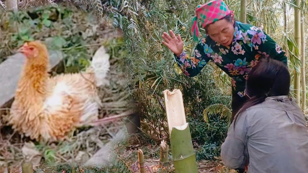 The bad guy hurt me and stole chickens from the H'mong people - YouTube