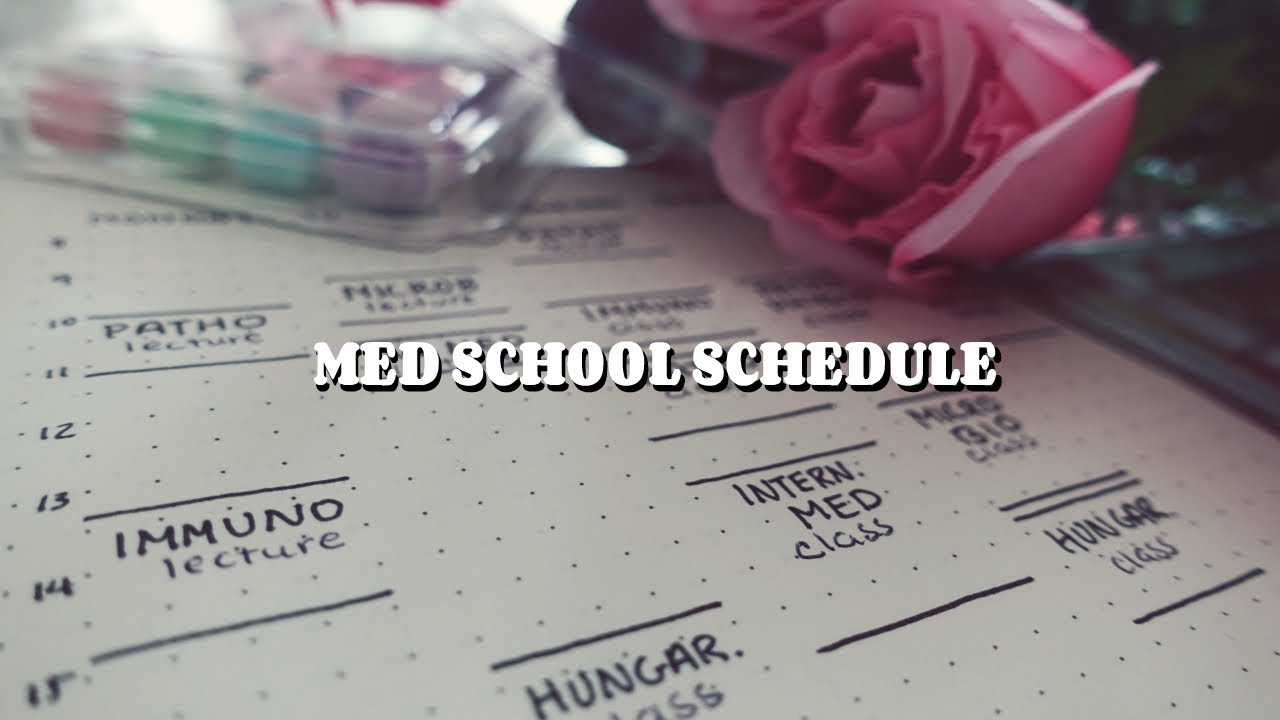 MY MED SCHOOL TIMETABLE / SCHEDULE 🌸 3rd year at Semmelweis - YouTube