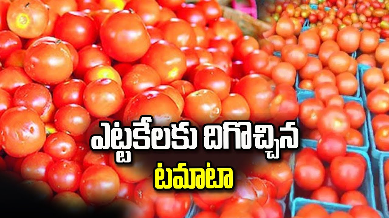 పడిపోయిన టమాటా ధరలు | Tomato Prices Fall Down | @iDBreakingNews - YouTube