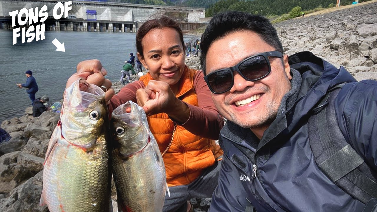 Fishing a DAM with MILLIONS of Fish! (nonstop action) - YouTube
