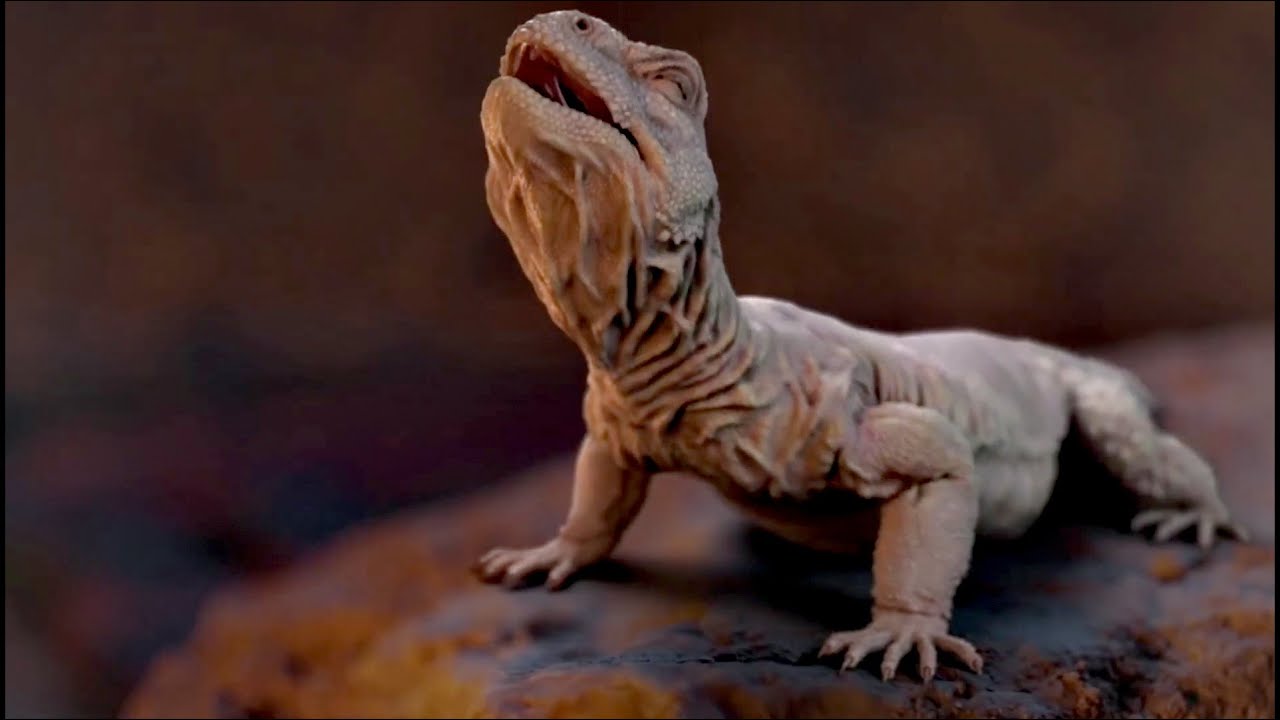 Rawwig Song, AlDab AlAbyad - STC - YouTube