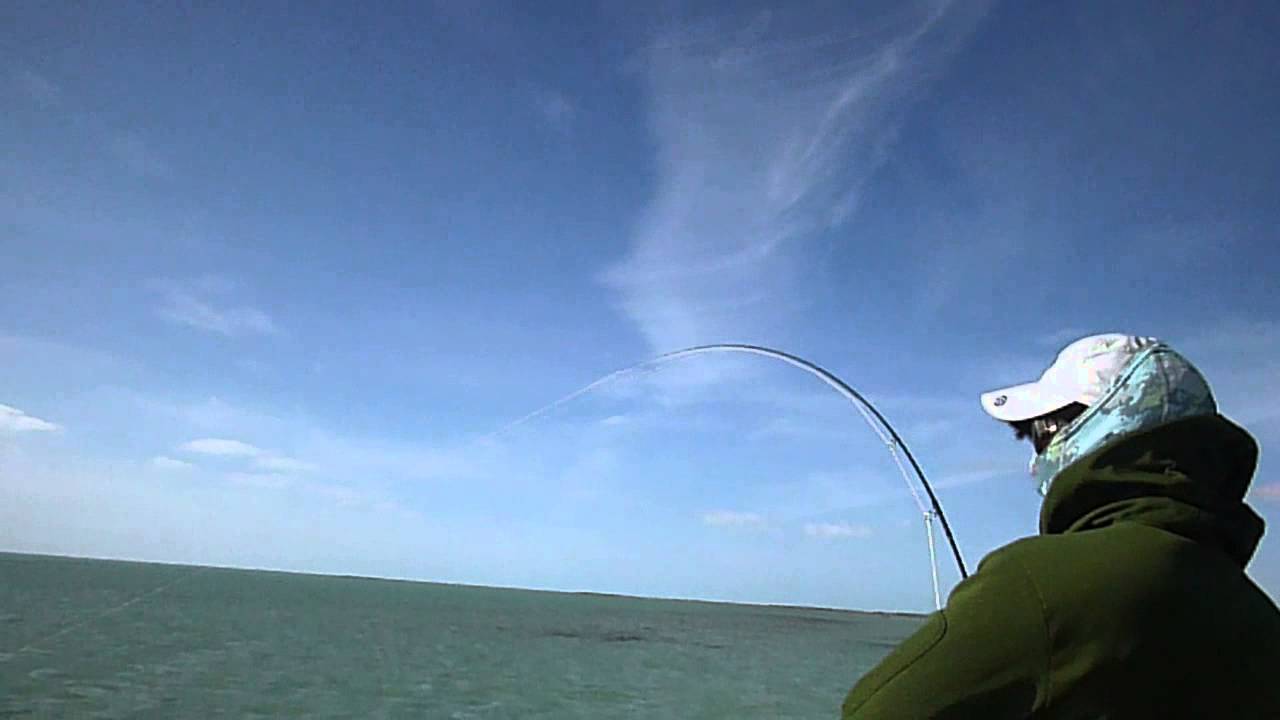 Andros Islands Hunting Bonefish - YouTube