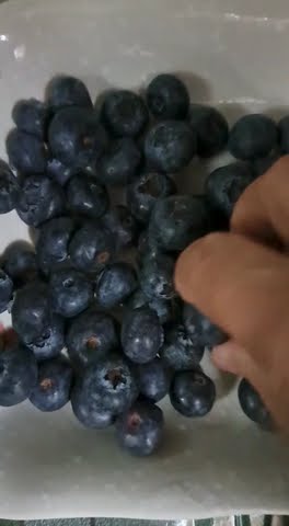 ROYAL JUMBO BLUEBERRIES 170g | SELECTION BERRIES #shorts #blueberries # ...