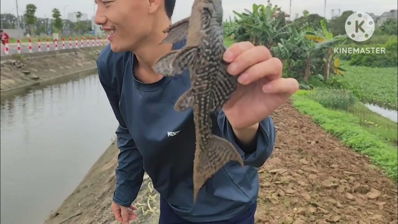 Nyob zoo cov niam txiv hnub no so kuv los thaij peb mus cuab ntses.thov nej pab txhawb nqa kuv ...