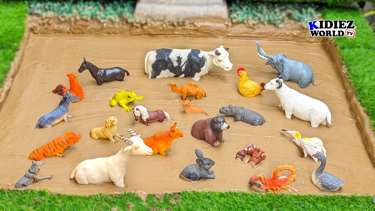 Mud Madness Farm Animals vs. Pet Animals Stuck in the Muck! - YouTube