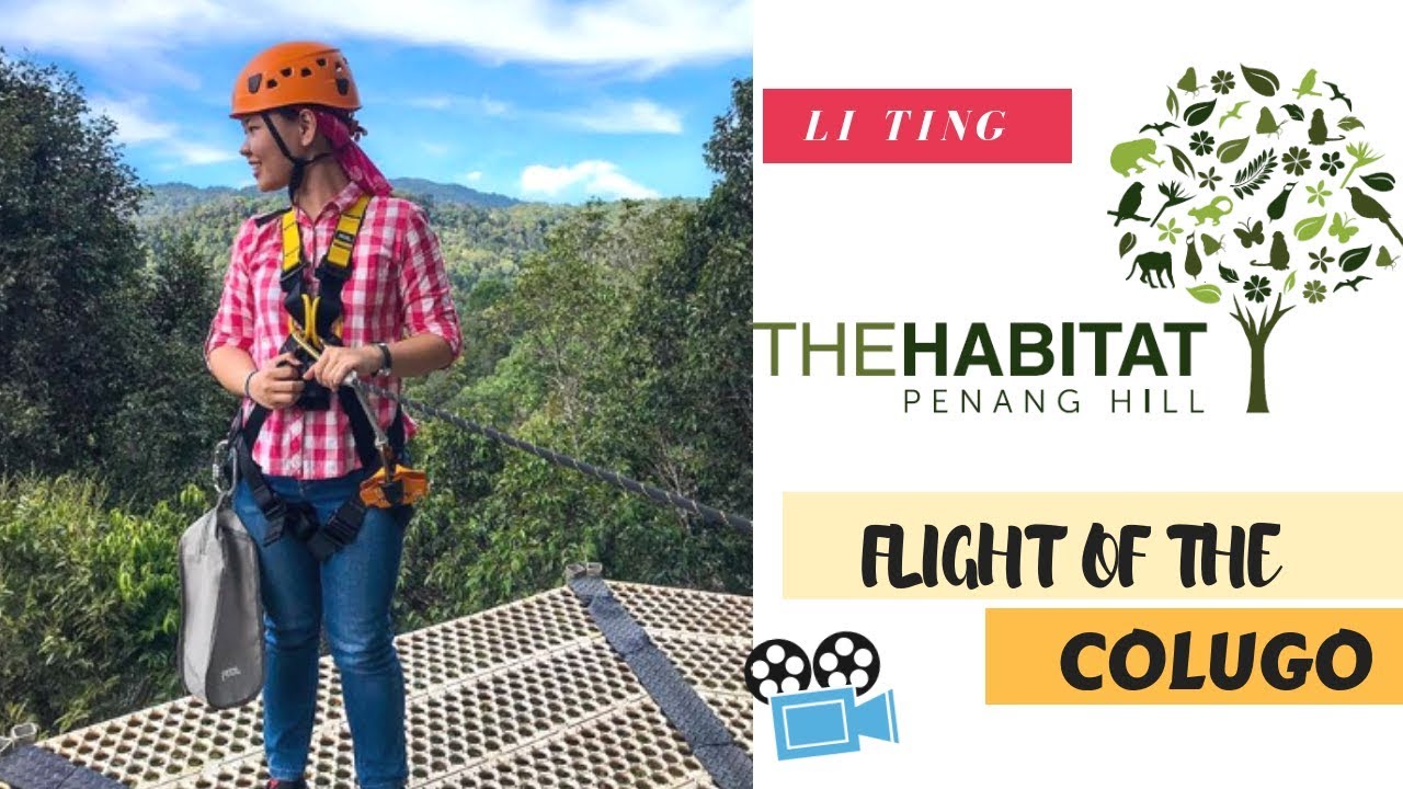 【The Habitat Penang Hill // Flight of the Colugo 】Highest Zipline in ...