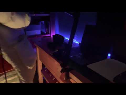 Jordi 08110 ~ Fuck love (official video)