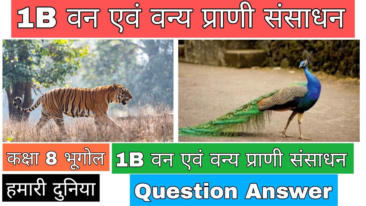 Class 8 Geography Hamari Duniya Chapter 1B Question Answer Bihar Board class-8-geography-hamari-duniya-chapter-1b-question-answer-bihar-board