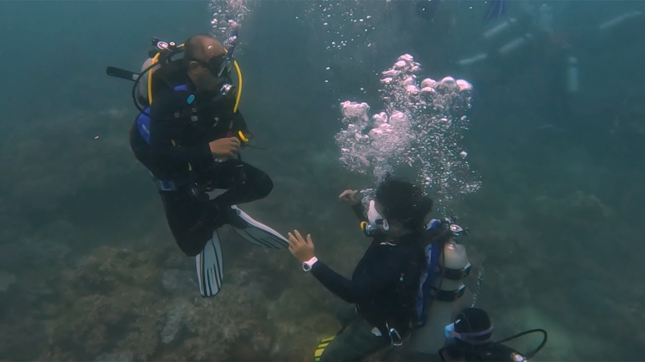 SSI OWD Course | 18th June 2023 | Rajawali Reef, Tenggol Island - YouTube