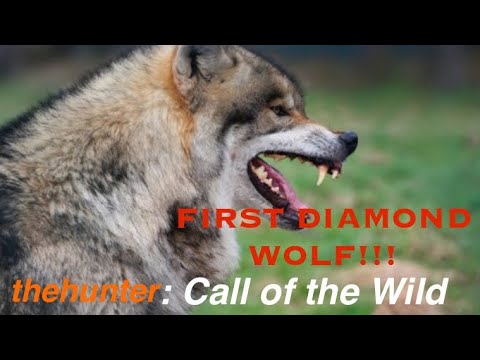 FIRST DIAMOND PREDATOR | Banana Man Plays - YouTube